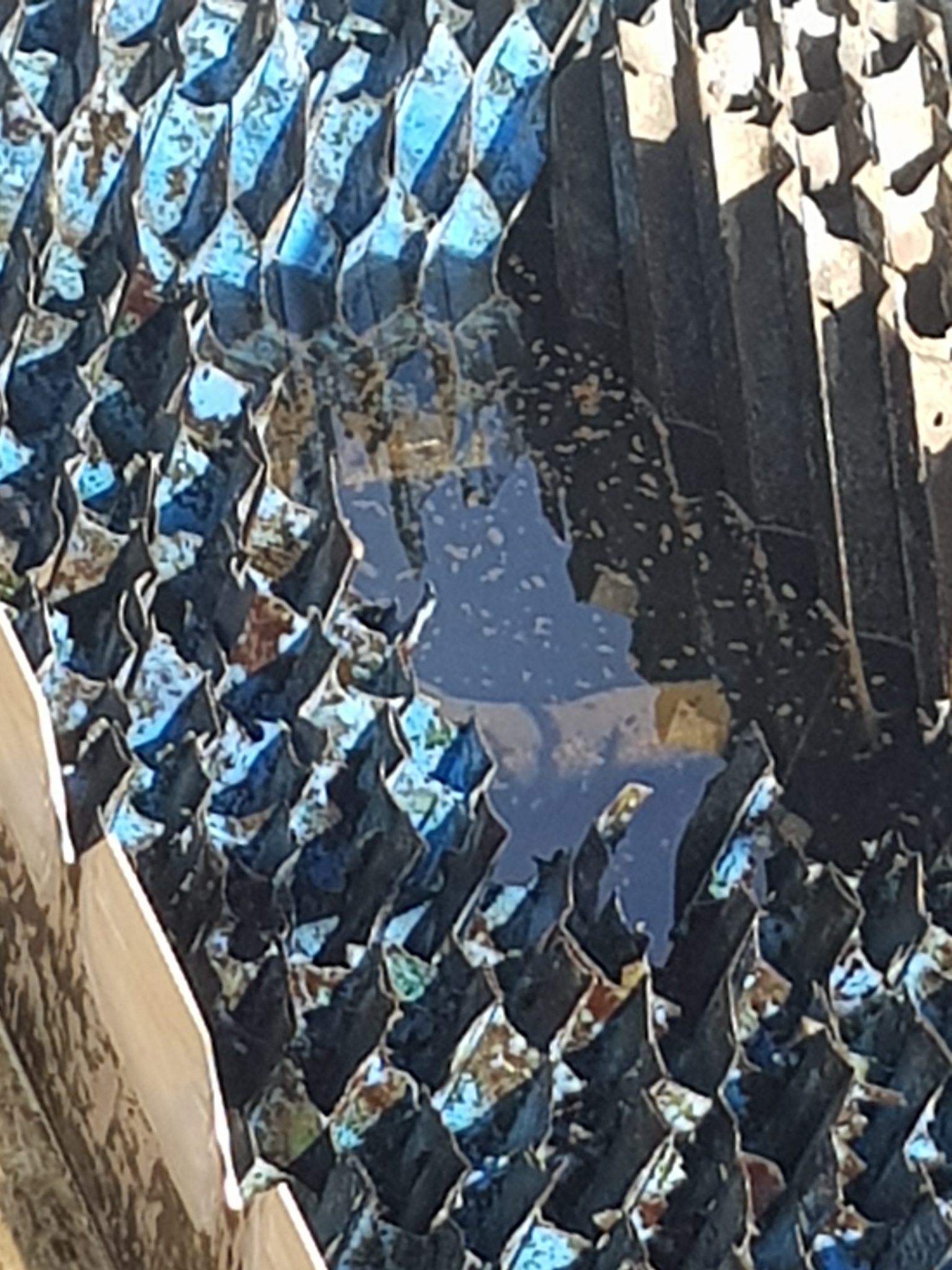 Tube Settler System - Tank Enviro Systems